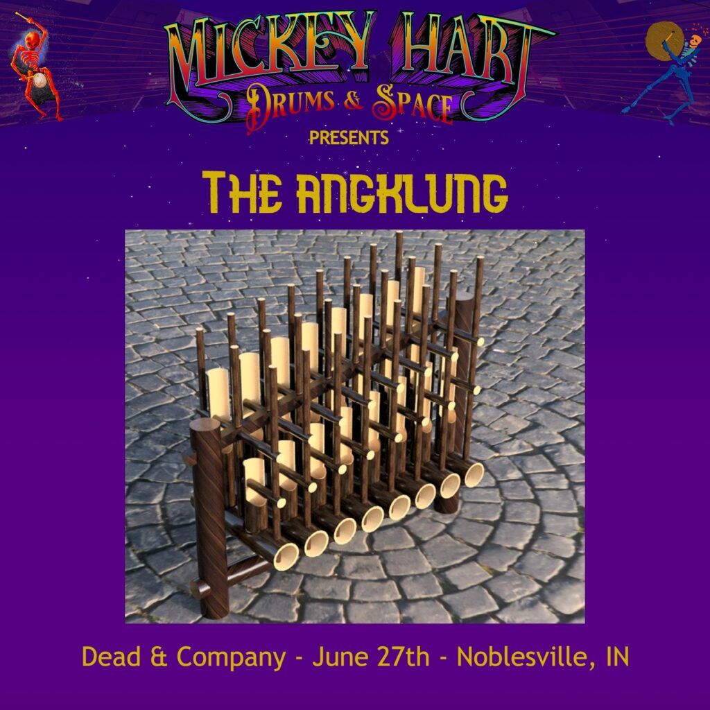 DRUMS & SPACE - Mickey Hart